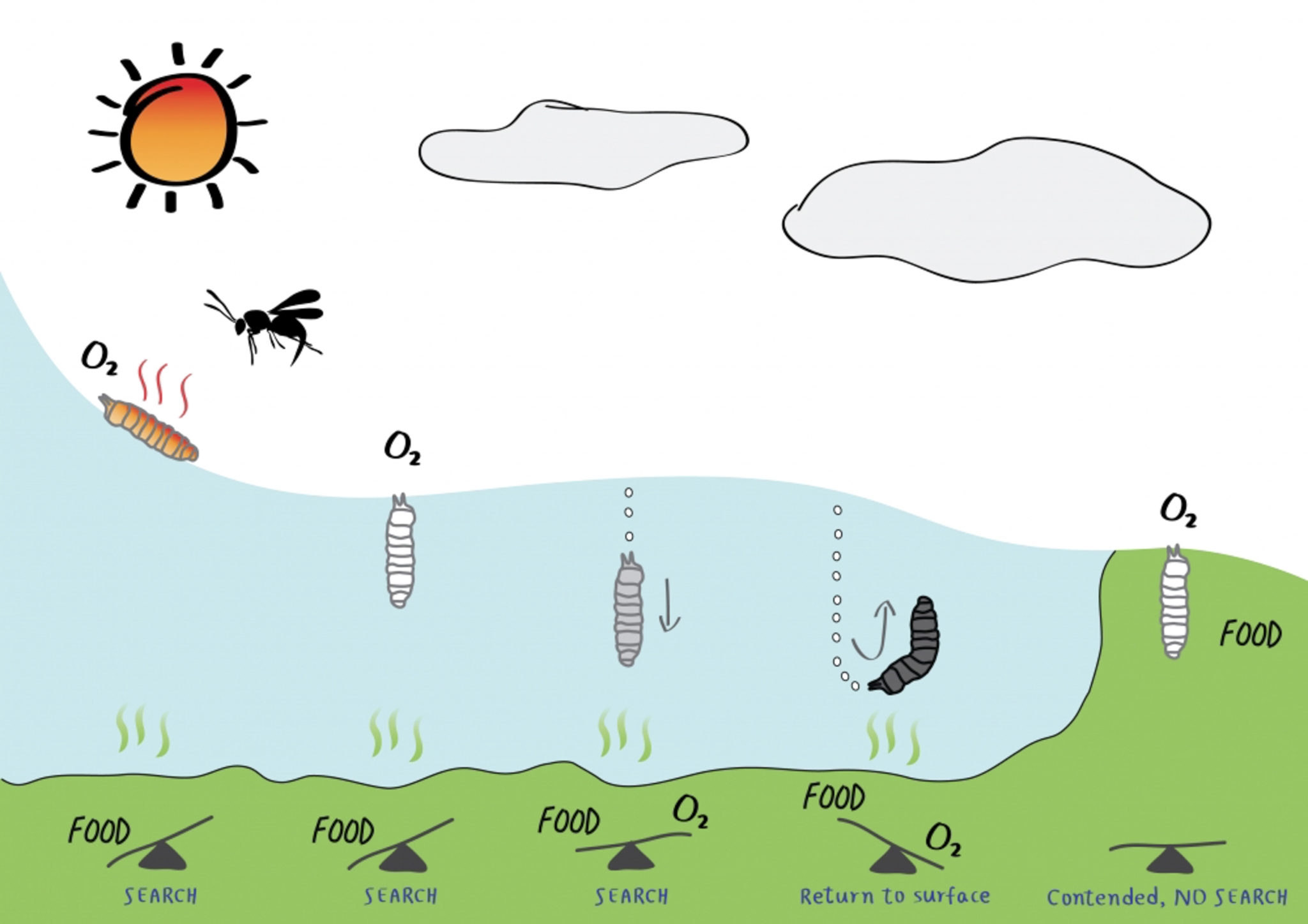 Larvae Survival: Dig, Duck, Dip, Dive and Dig | The Daily Nexus